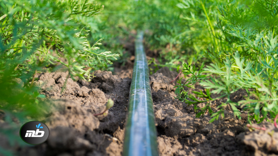 How to Install a Drip Irrigation System In Your Garden - MB Irrigation